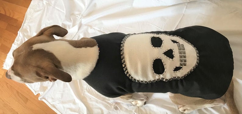 SKULL FACE Dog Coat-handmade, Unique SWAGGIEDOG Original- Skull W/large ...