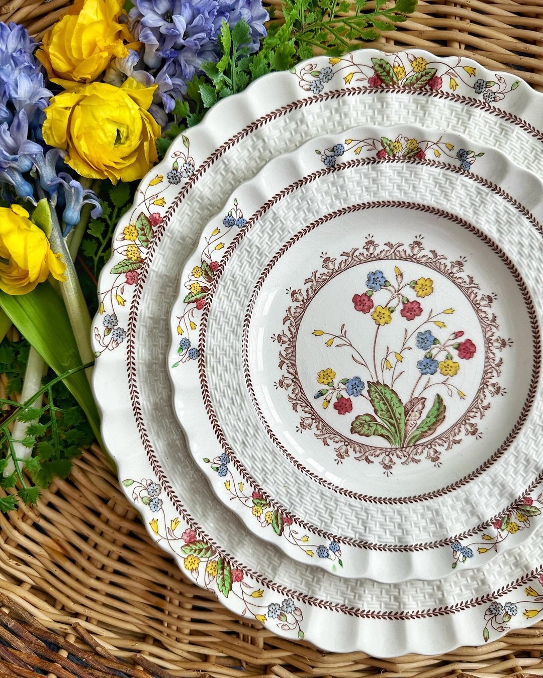 English Copeland Spode "cowslip" Dinner Plates/12 Available Sold in Set ...