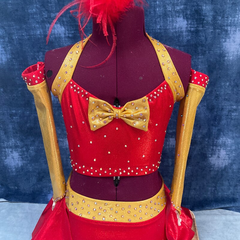 Custom Musical Theater Costume - Etsy
