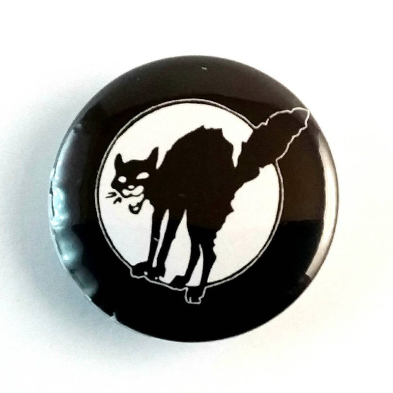 Anarchist Cat - Etsy