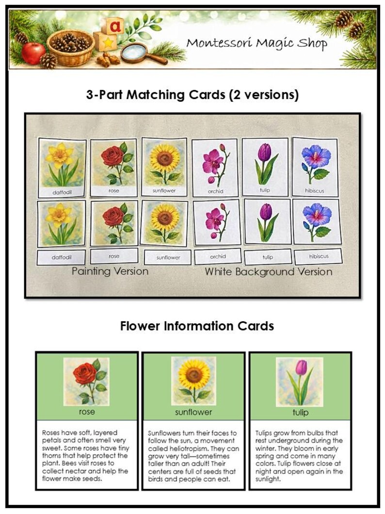 Montessori Flower Types 3-part Cards | Matching, Coloring, Silhouettes ...
