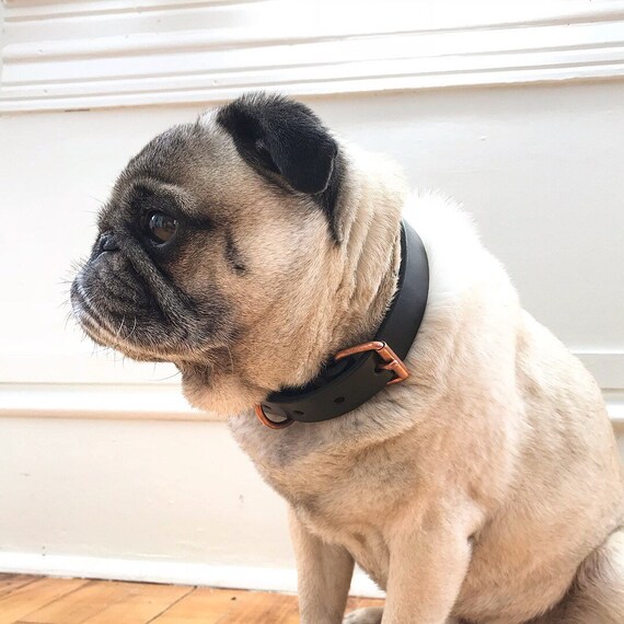 The Ore Sniffer Dog Collar | Etsy