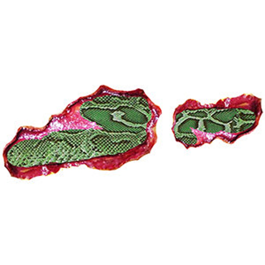 Pair of Realistic 3D Special FX SNAKE Skin Reptile Temporary Transfer ...
