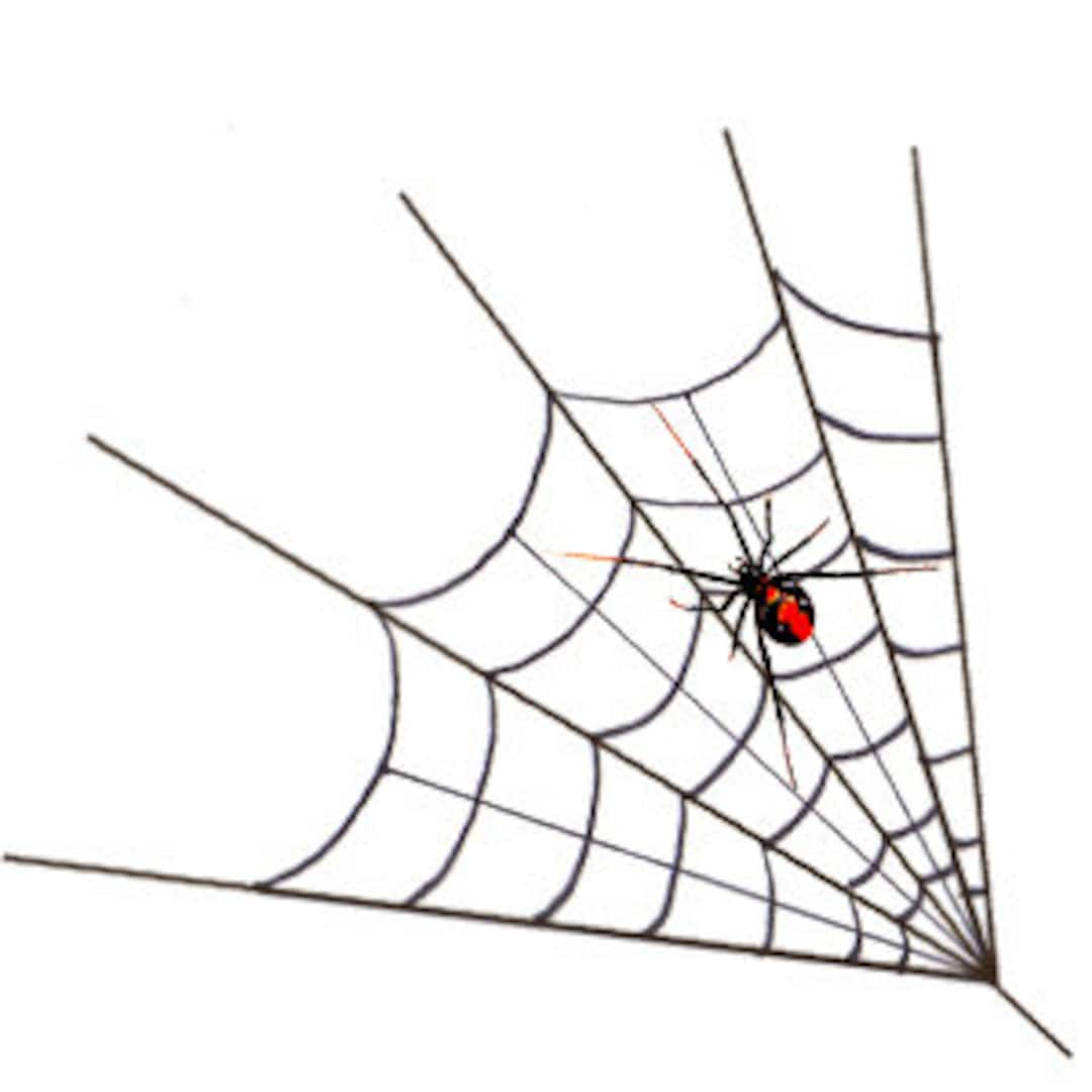 Redback Spider Web Temporary Tattoo: Halloween Realistic Transfer (2 ...