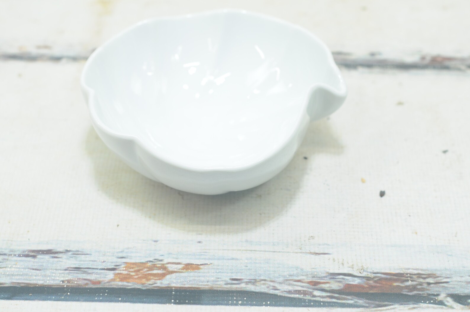 Vintage White Lousania Porcelana Deforno White Shell Shaped Porcelain ...