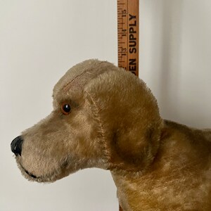 14" Biggie Beagle Large Steiff Mohair Dog Germany Ear Button Standing ...