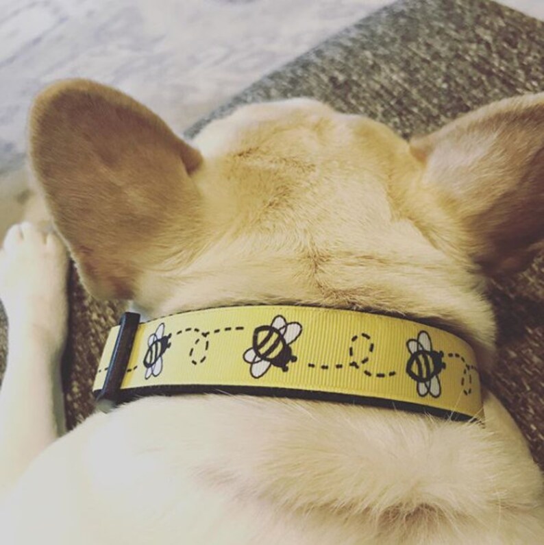 Bumble Bee Dog Leash Lead | Etsy