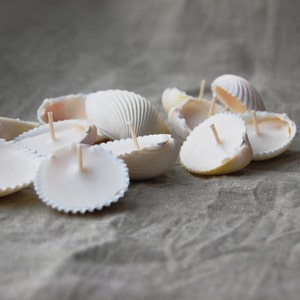 Eco-friendly Scented Handmade Seashells Candles Set of 24, Mermaidcore ...