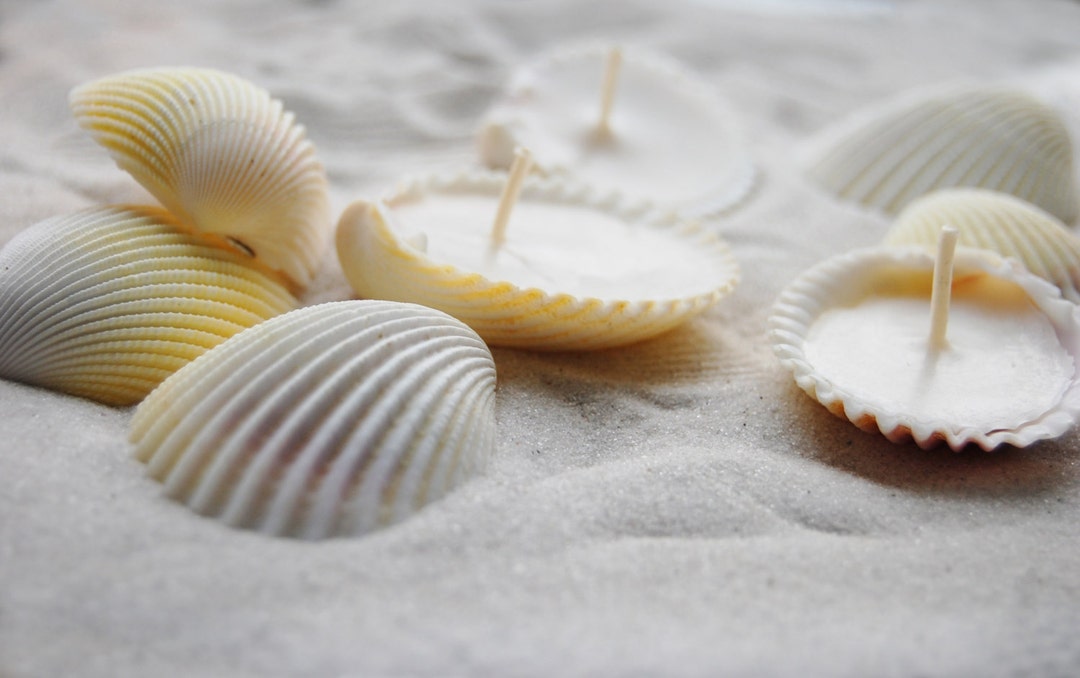Eco-friendly Scented Handmade Seashells Candles Set of 24, Mermaidcore ...