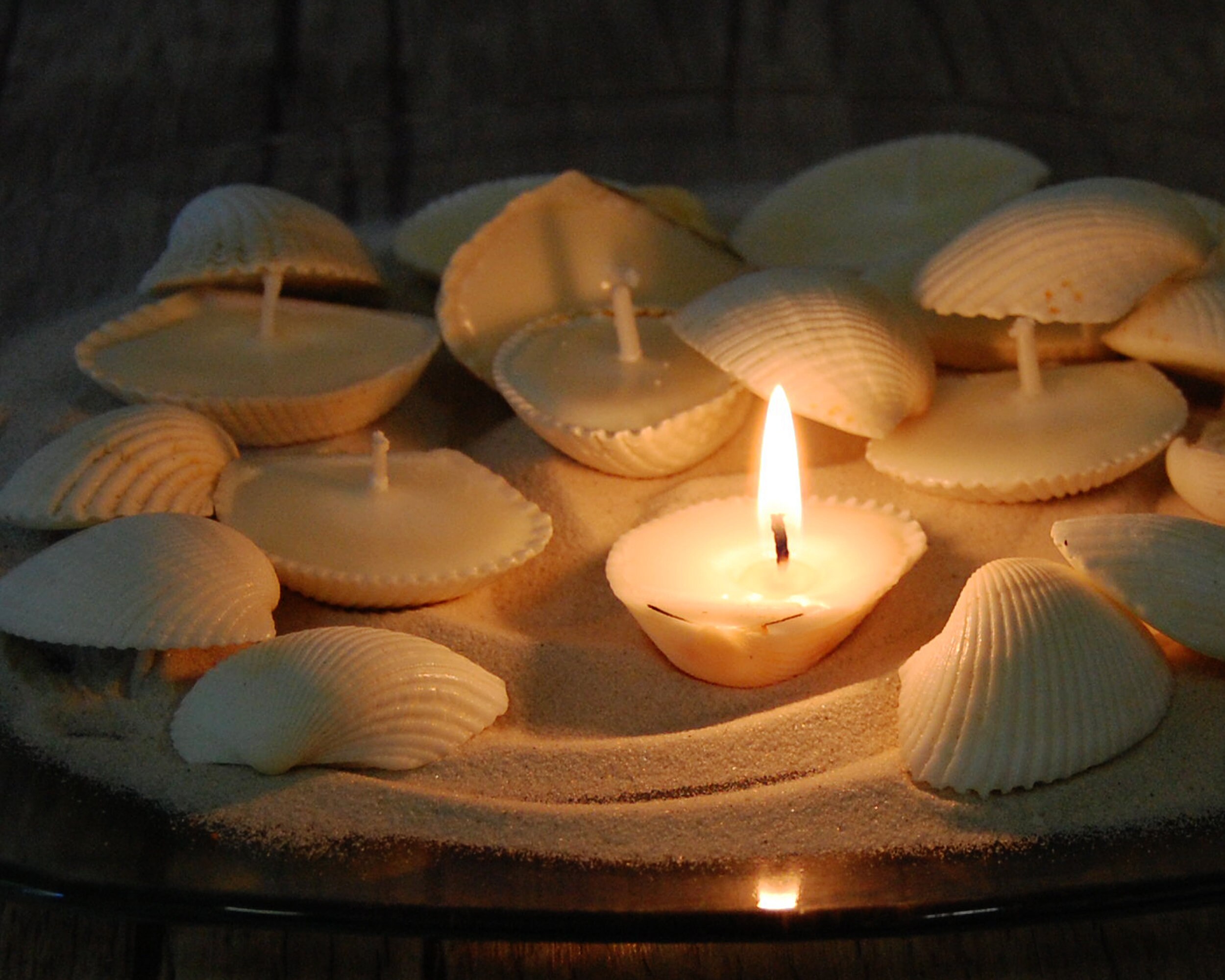 Eco-friendly Scented Handmade Seashells Candles Set of 24 - Etsy UK