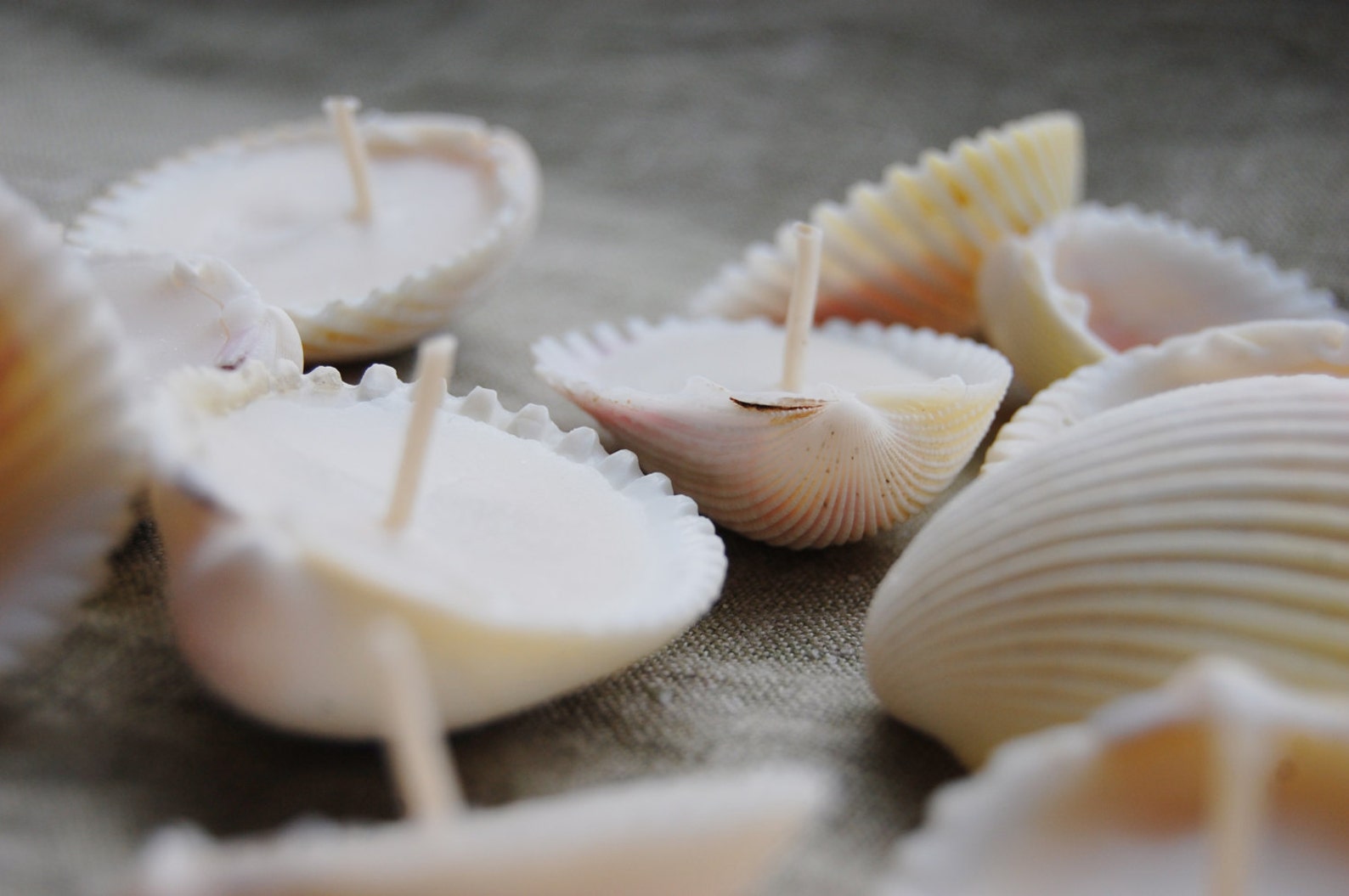 Eco-friendly Scented Handmade Seashells Candles Set of 24, Mermaidcore ...