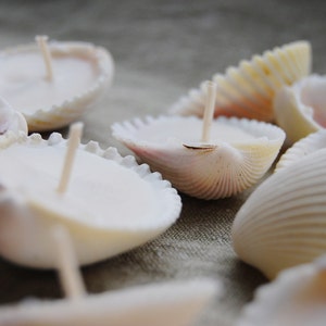 Eco-friendly Scented Handmade Seashells Candles Set of 24, Mermaidcore ...