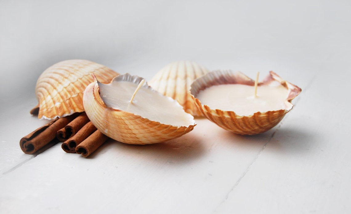 Scented Handmade Seashell Candles Set of Two Gift for - Etsy