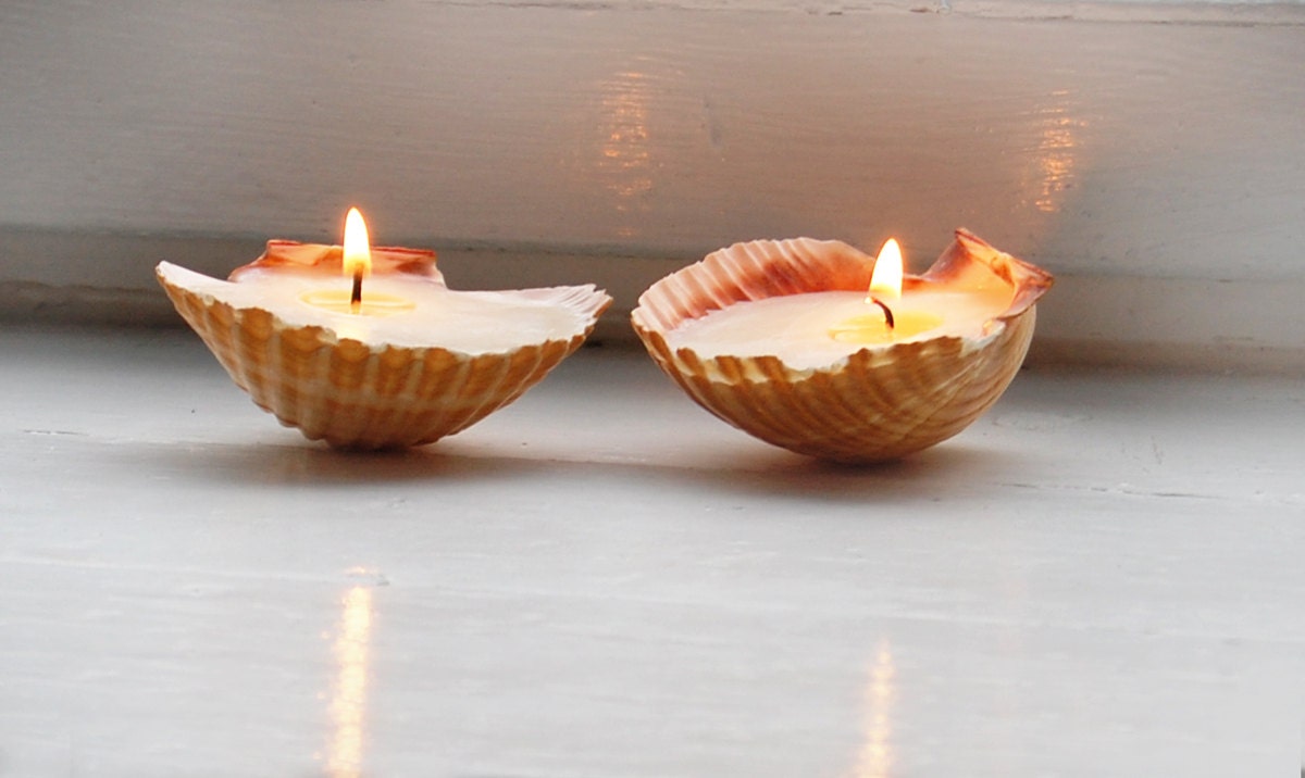 Scented Handmade Seashell Candles Set of Two Gift for - Etsy