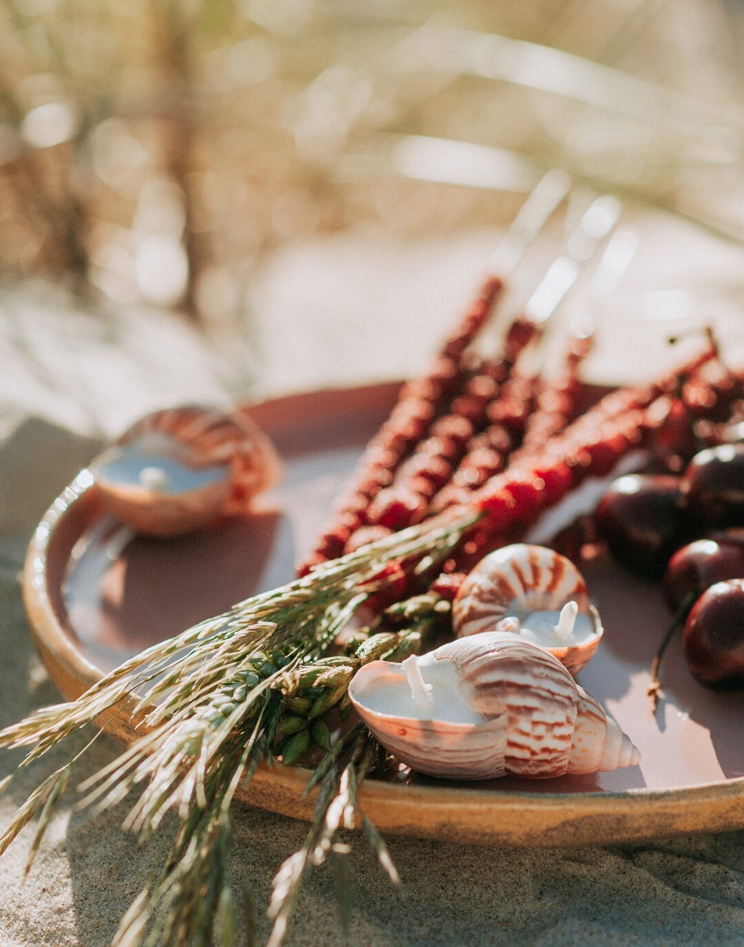 Eco-friendly Scented Homemade Seashell Candle, Beach Cottage Decor ...