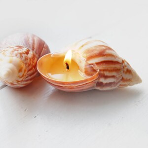 Eco-friendly Scented Homemade Seashell Candle, Beach Cottage Decor ...