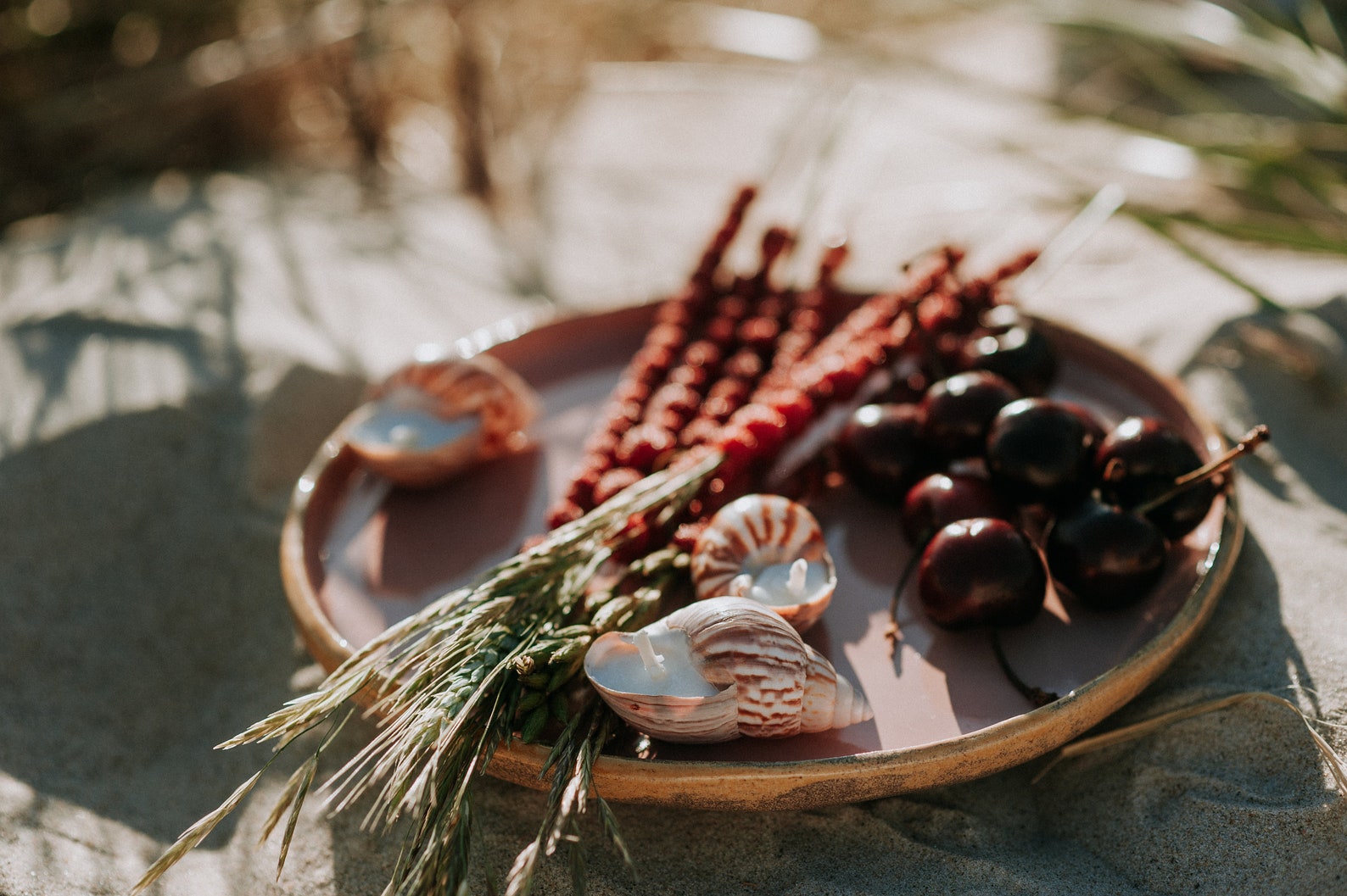 Eco-friendly Scented Homemade Seashell Candle Beach Cottage - Etsy
