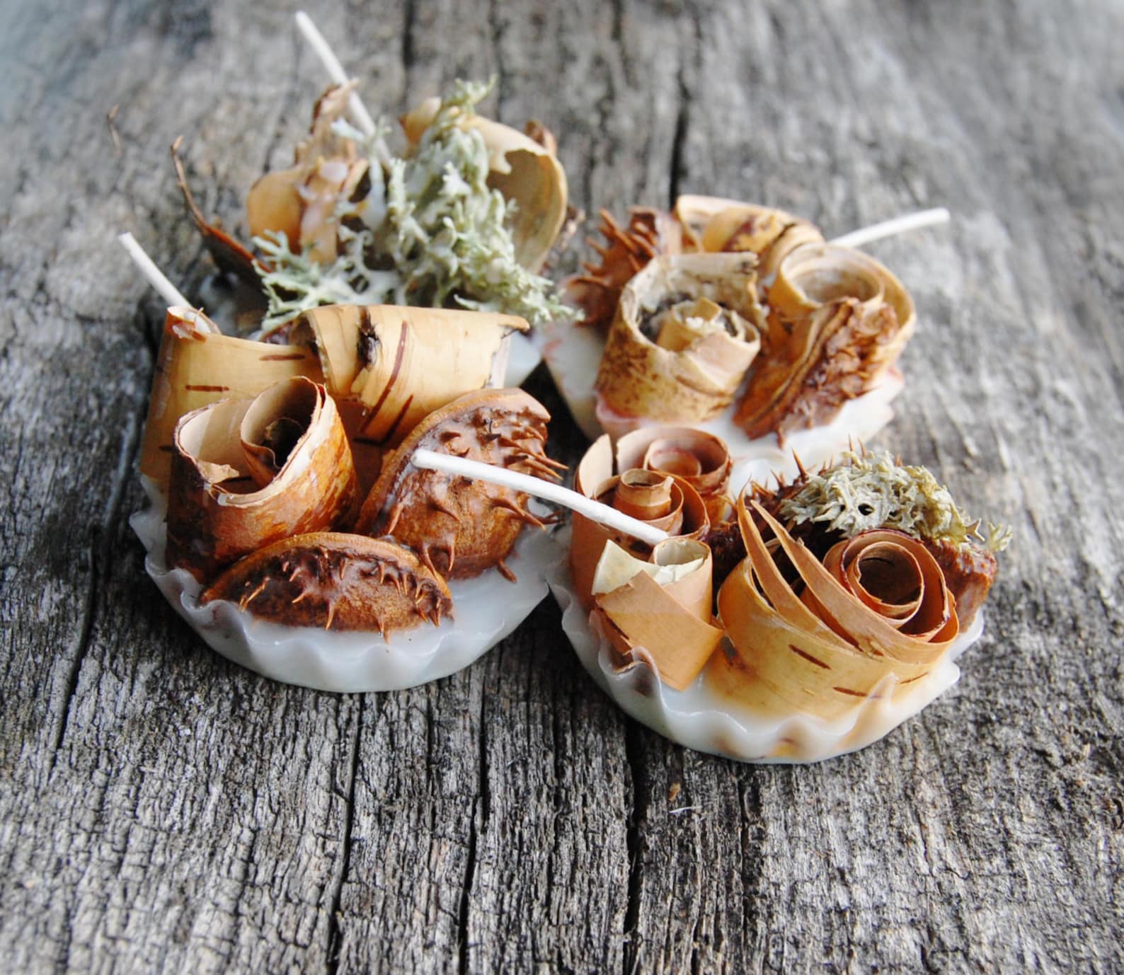 All Natural Eco Fire Starters Set of 6 Christmas Gift for - Etsy