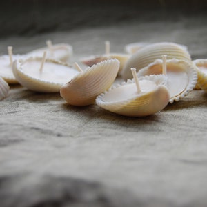 Eco-friendly Scented Handmade Seashells Candles Set of 24, Mermaidcore ...
