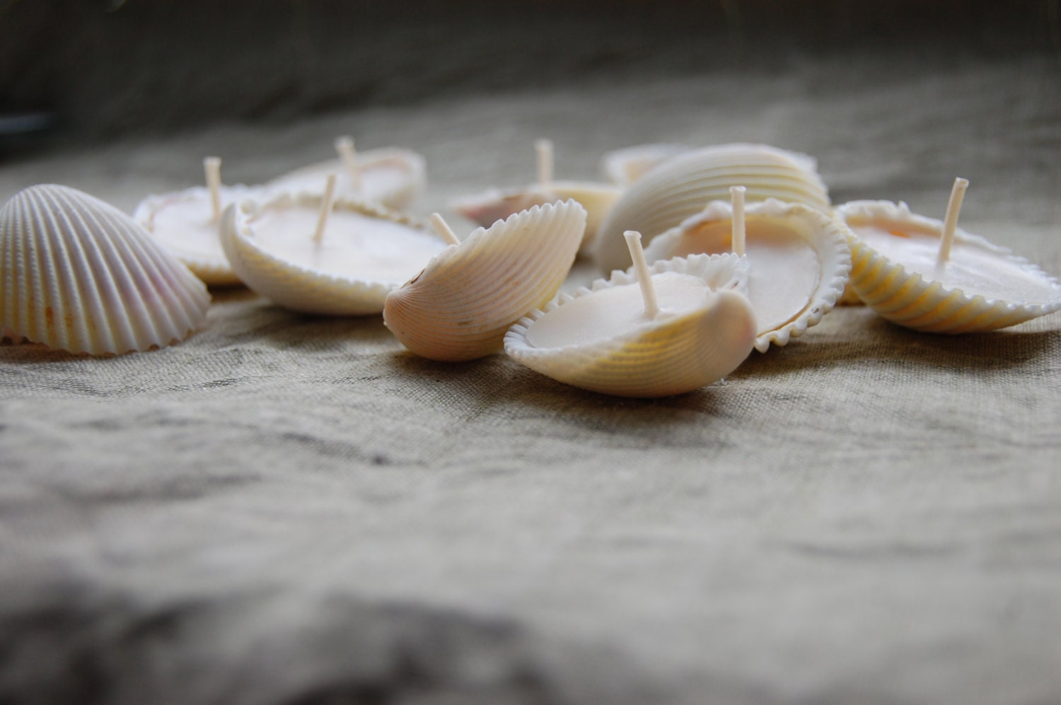 Eco-friendly Scented Handmade Seashells Candles Set of 24, Mermaidcore ...