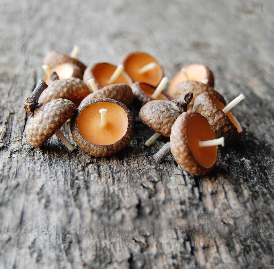 Acorn Cap Candle, Eco Friendly Floating Cinnamon Scented Candles ...