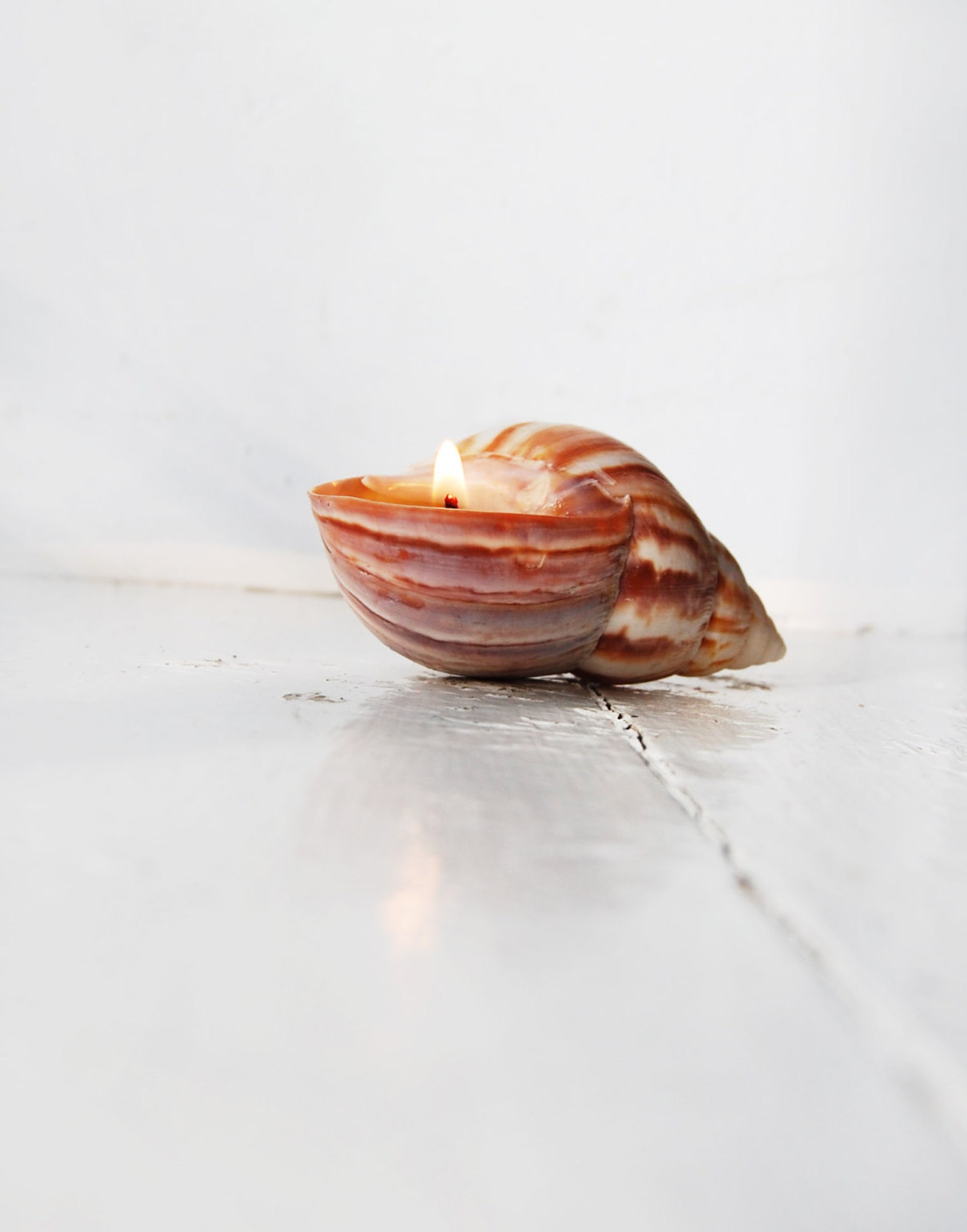 Eco-friendly Scented Homemade Seashell Candle Beach Cottage - Etsy