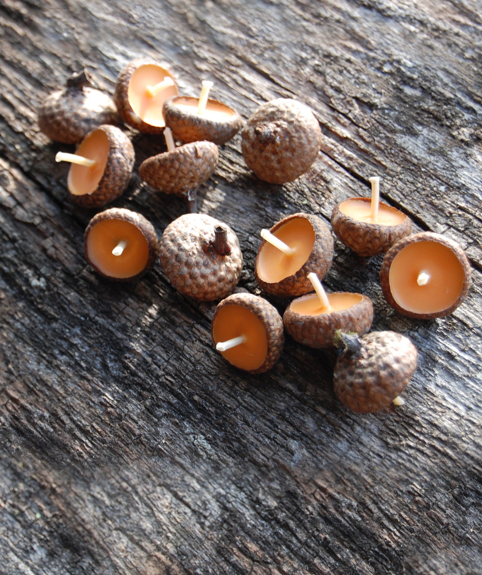 Acorn Cap Candle Eco Friendly Floating Cinnamon Scented - Etsy