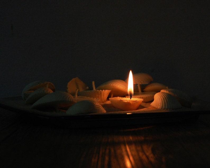Eco-friendly Scented Handmade Seashells Candles Set of 24, Mermaidcore ...