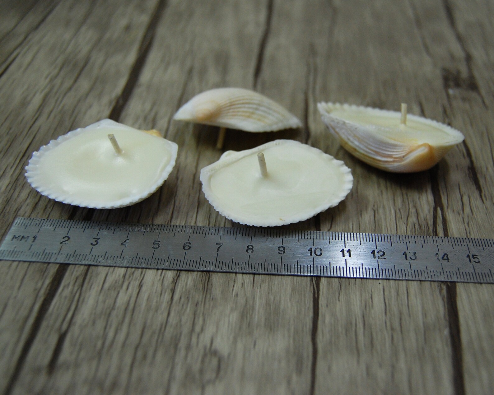 Eco-friendly Scented Handmade Seashells Candles Set of 24 - Etsy UK