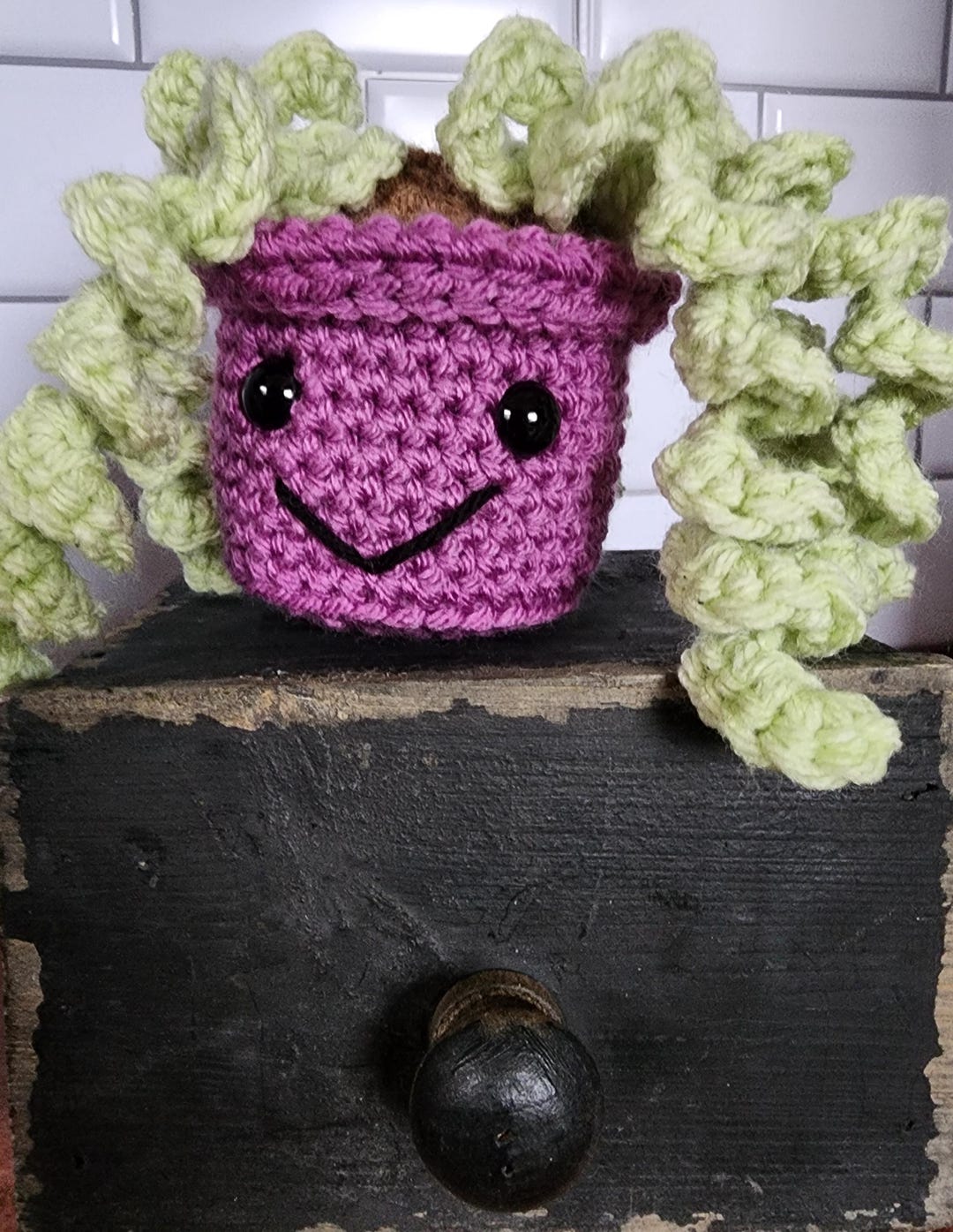 Purple Smiley Pot Mini Mint Green Succulent - Etsy