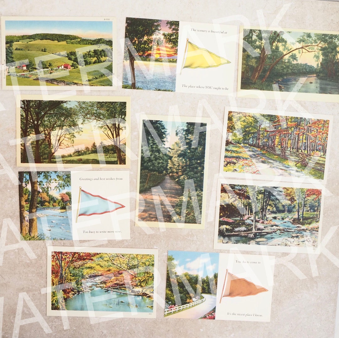 Vintage Postcards- 10 Cards- Unused- Linen White Border, Early 1900’s ...