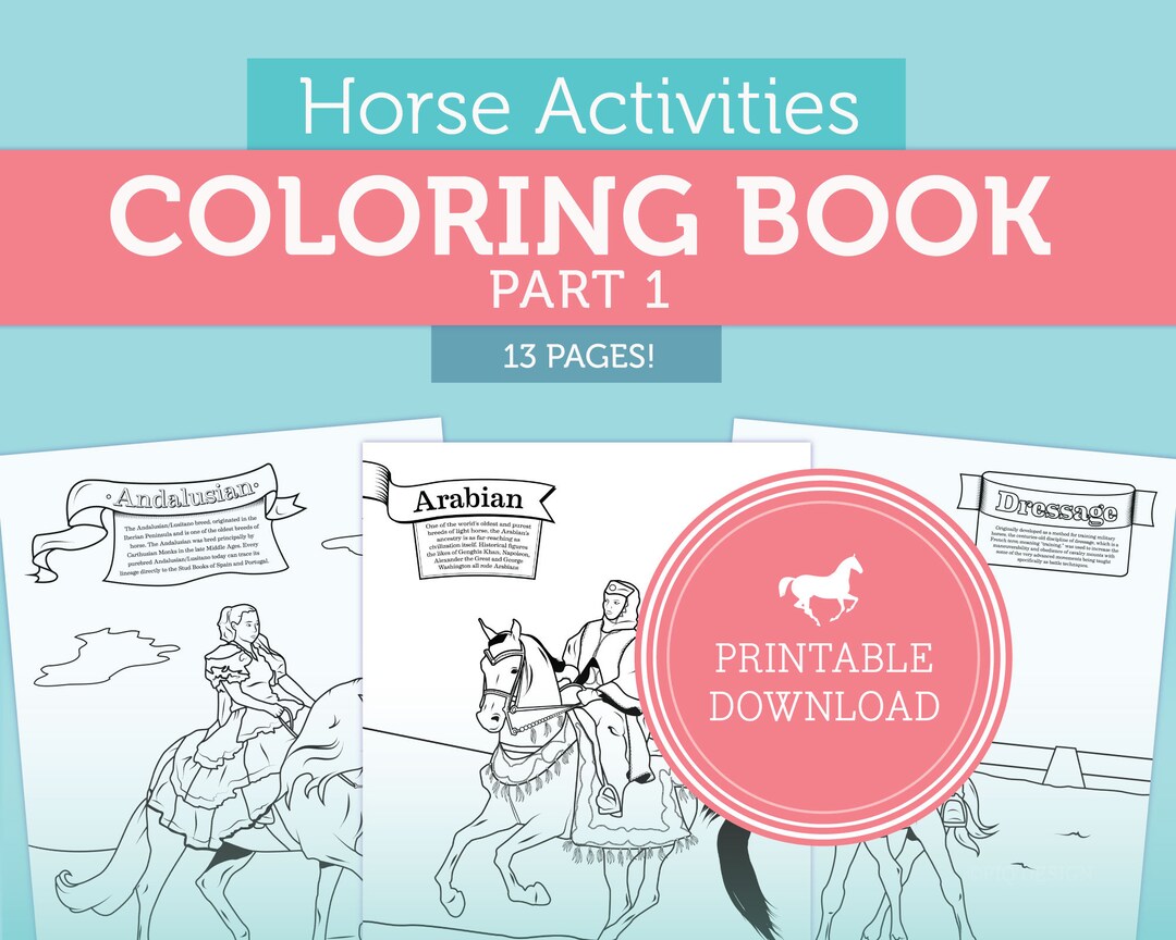 Bundle Horse Coloring for Kids or Adult Activities, Horses, Equestrian ...