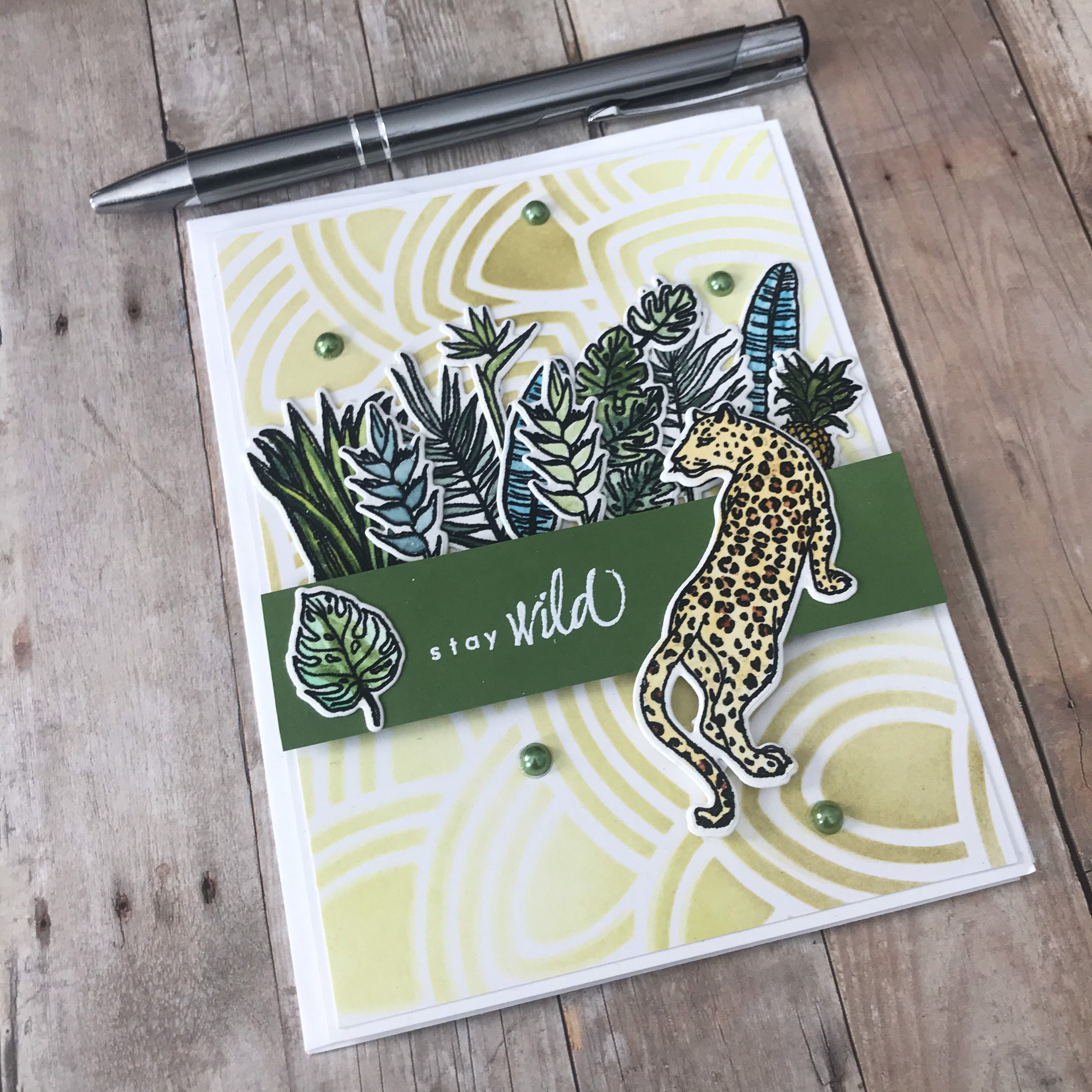 Cheetah Card Jungle Card Cheetah Gifts Big Cat Card Stay | Etsy