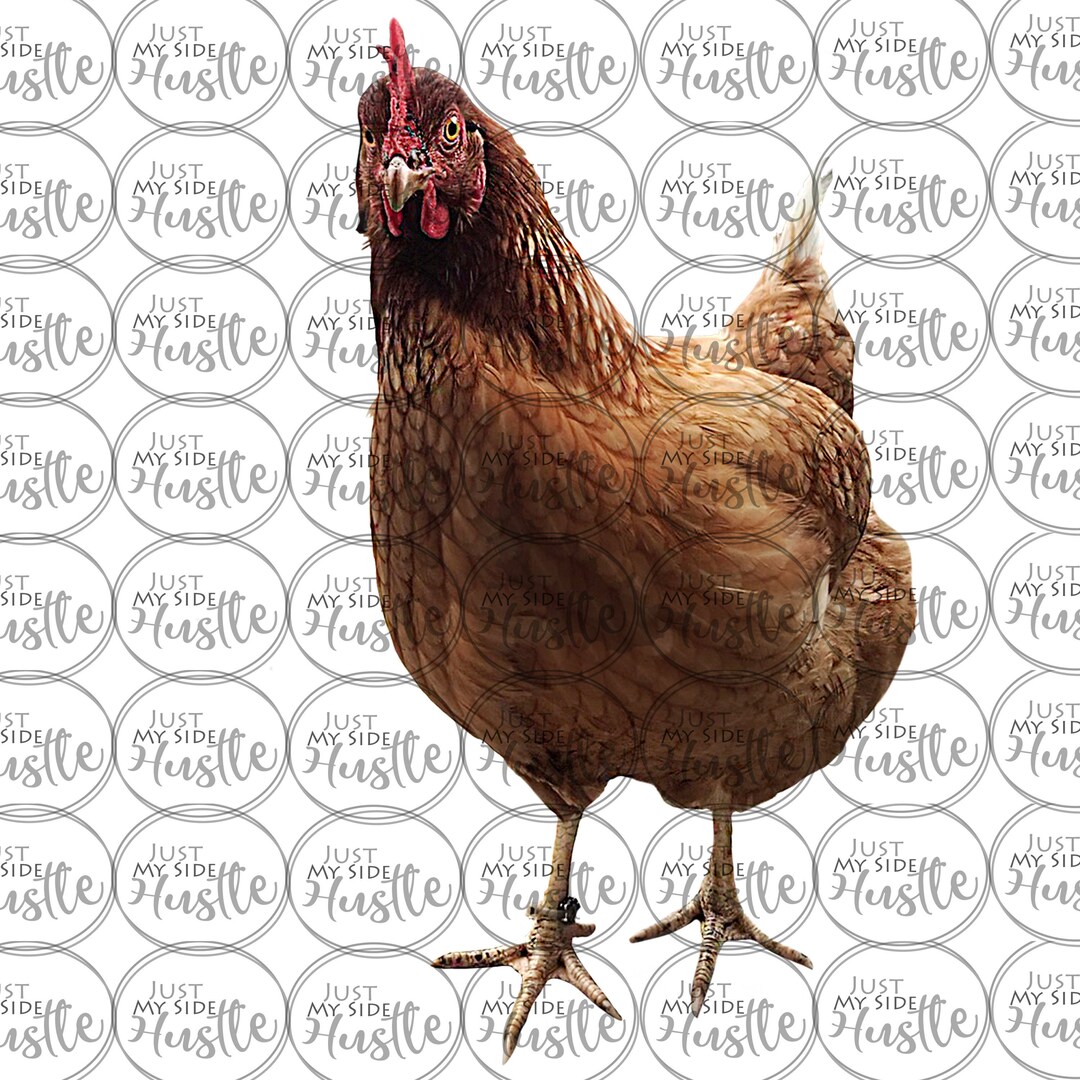 Chicken Png chicken Sublimation Designs sublimation Graphics red ...