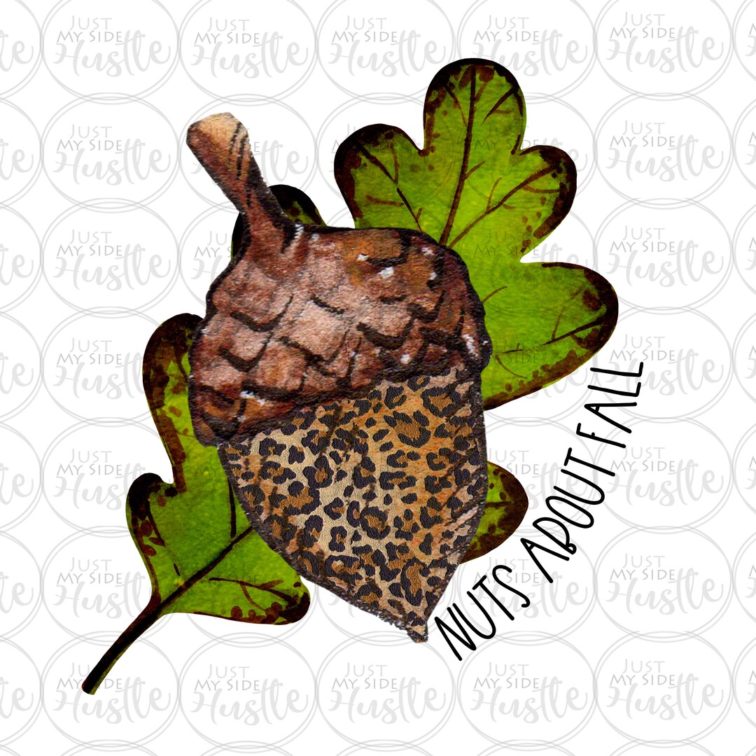 Nuts About Fall Png Leopard Acorn Sublimation Designs - Etsy