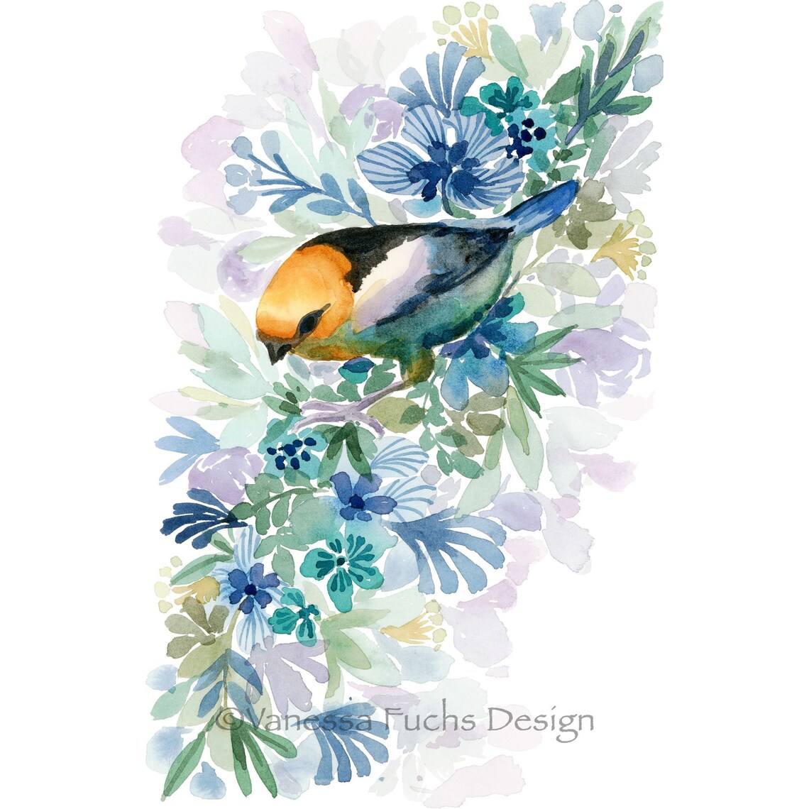 Broadbill Bird Watercolor Print Floral Bird Painting Giclee | Etsy