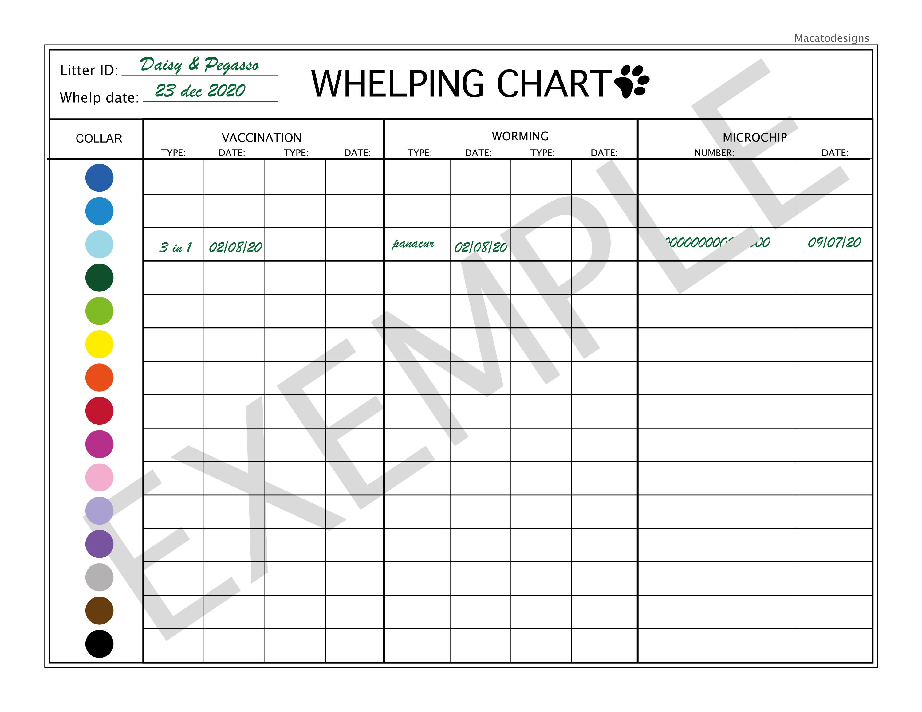 Whelping Chart Weight Gain Daily and Weekly Vaccination - Etsy Australia