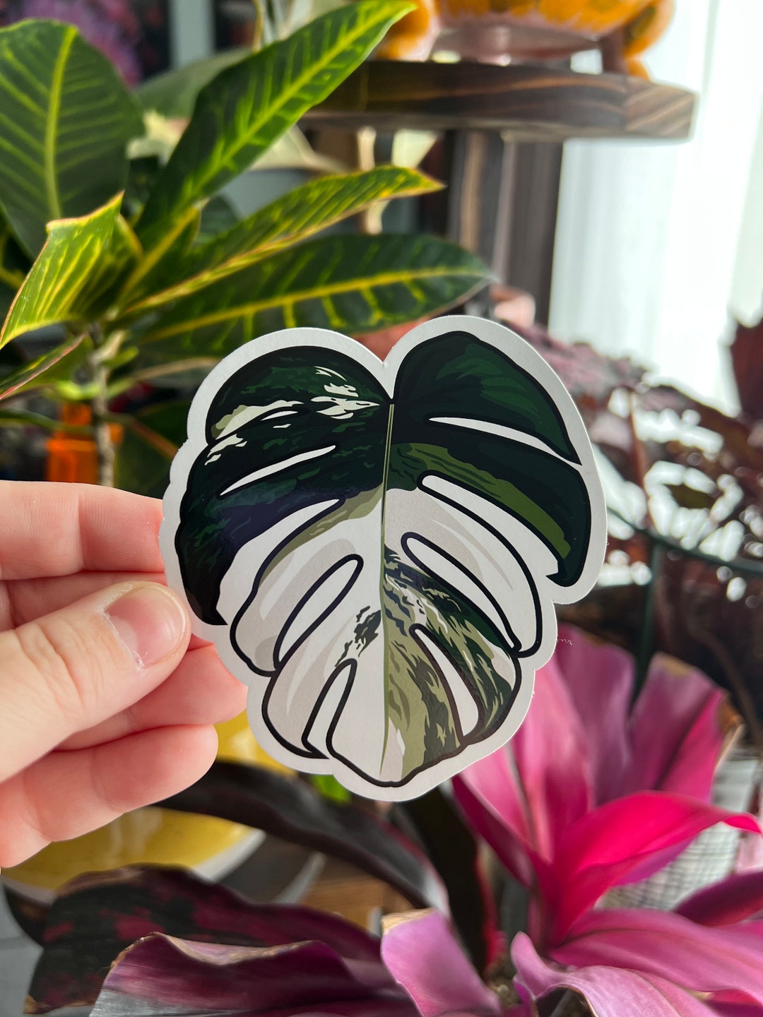 Variegated Monstera Leaf Diecut Sticker | Waterproof - Etsy