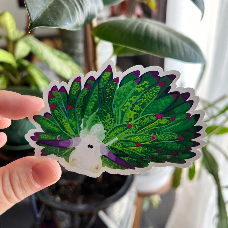 Sea Slug - Etsy