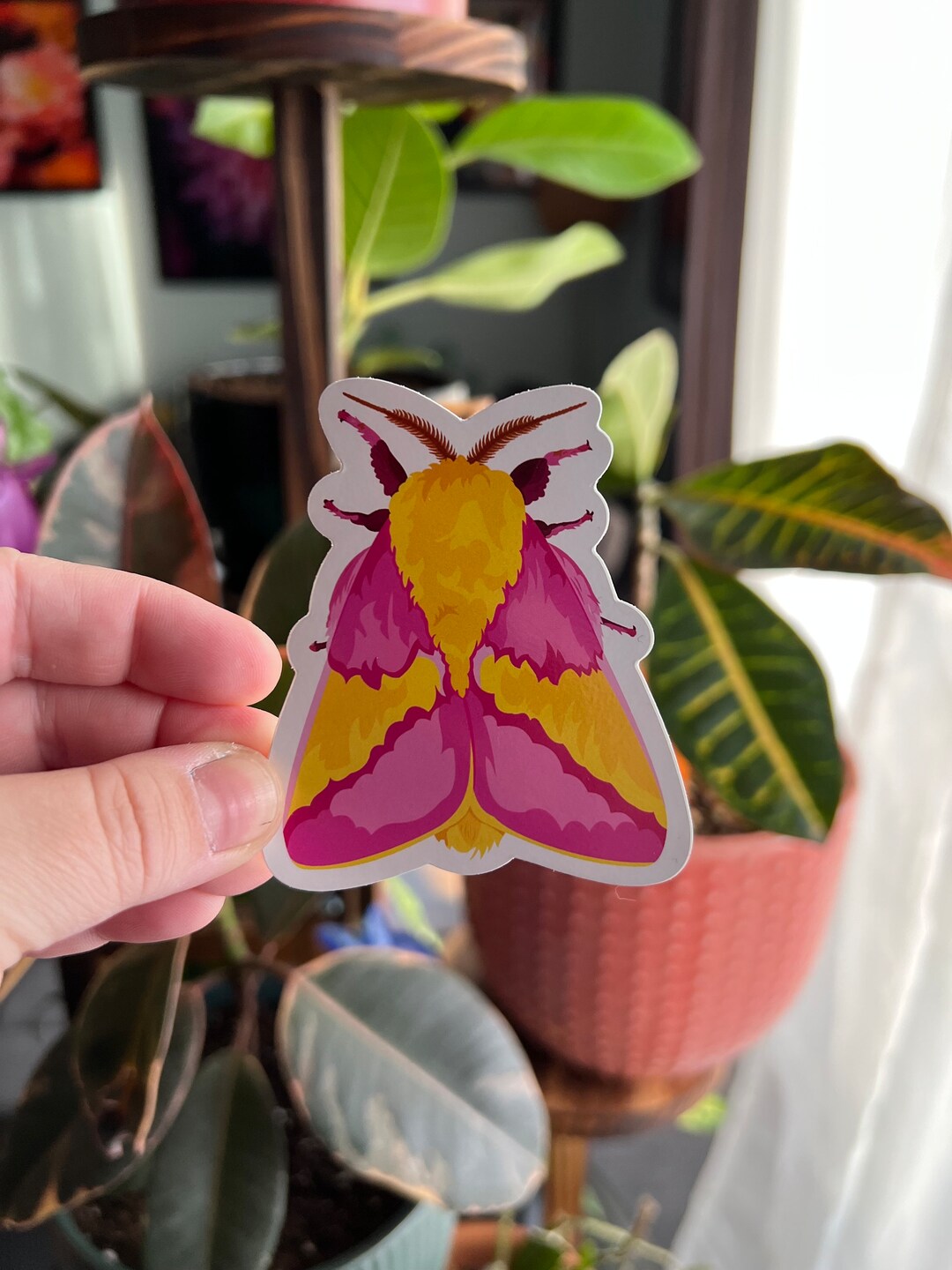 Rosy Maple Moth Diecut Sticker | Waterproof - Etsy
