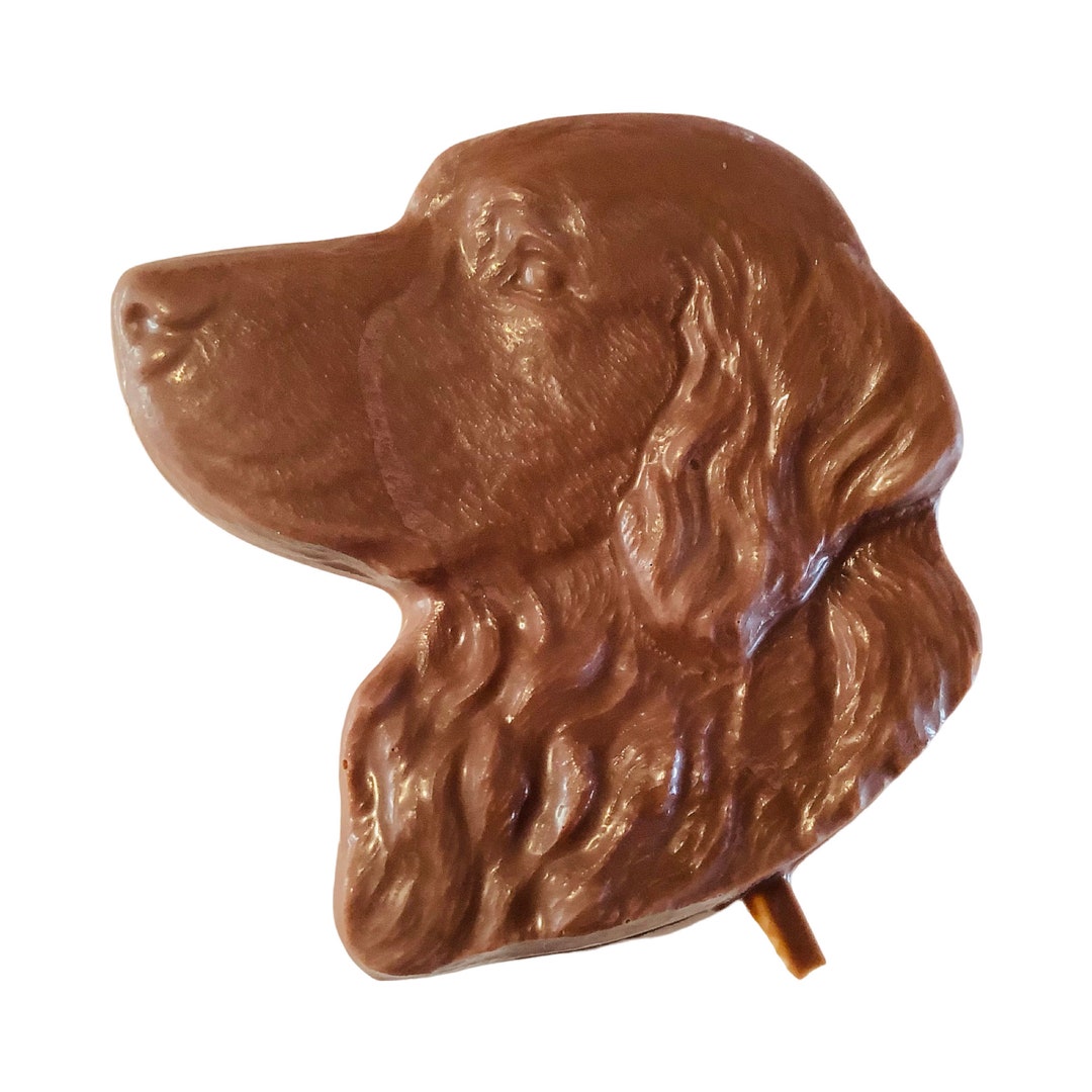 Chocolate Labrador Lolly X 3 Pieces, Belgian Chocolate Dog Shaped Gifts ...