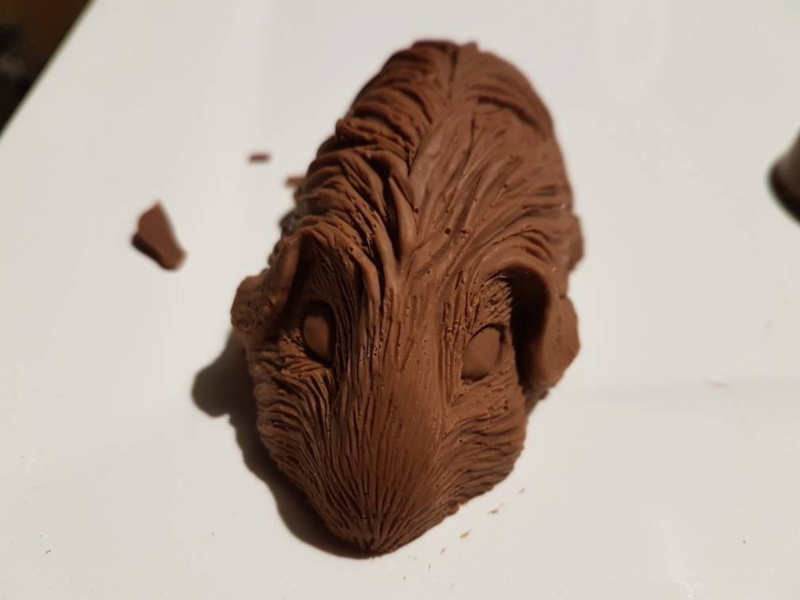 Chocolate Guinea Pig and Carrots - Etsy UK