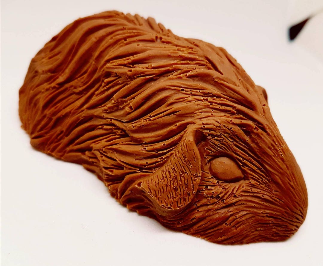 Chocolate Guinea Pig and Carrots - Etsy