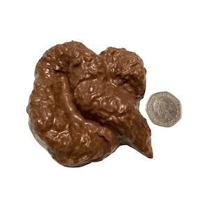 Chocolate Poo - Etsy