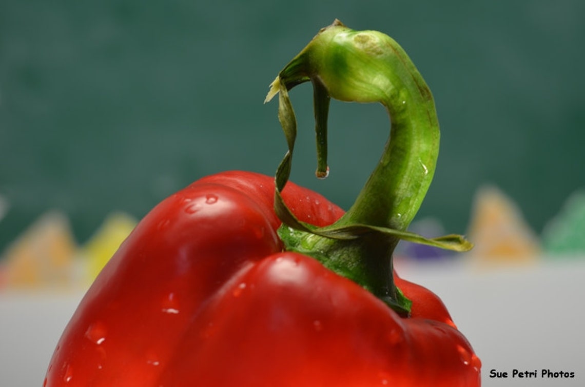 Food Photography Red Pepper Photograph Kitchen Art Still - Etsy