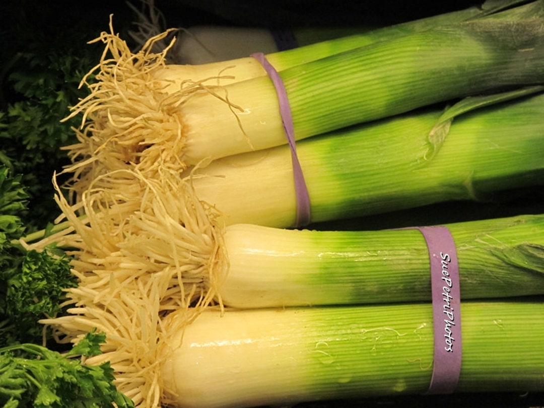 Leeks Vegetable Photos Fine Art Photography Food Porn - Etsy Canada