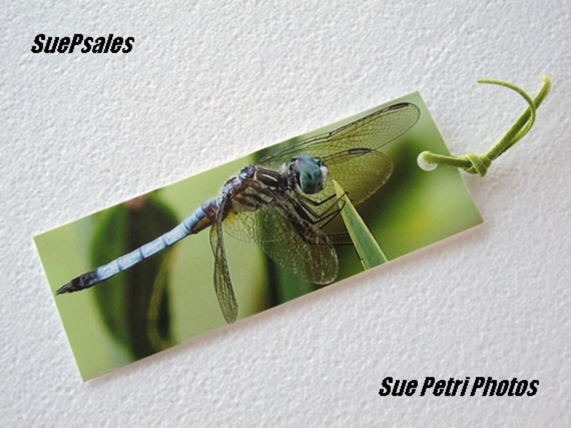 Photo Bookmarks Dragonfly Photo Bookmarks Nature - Etsy