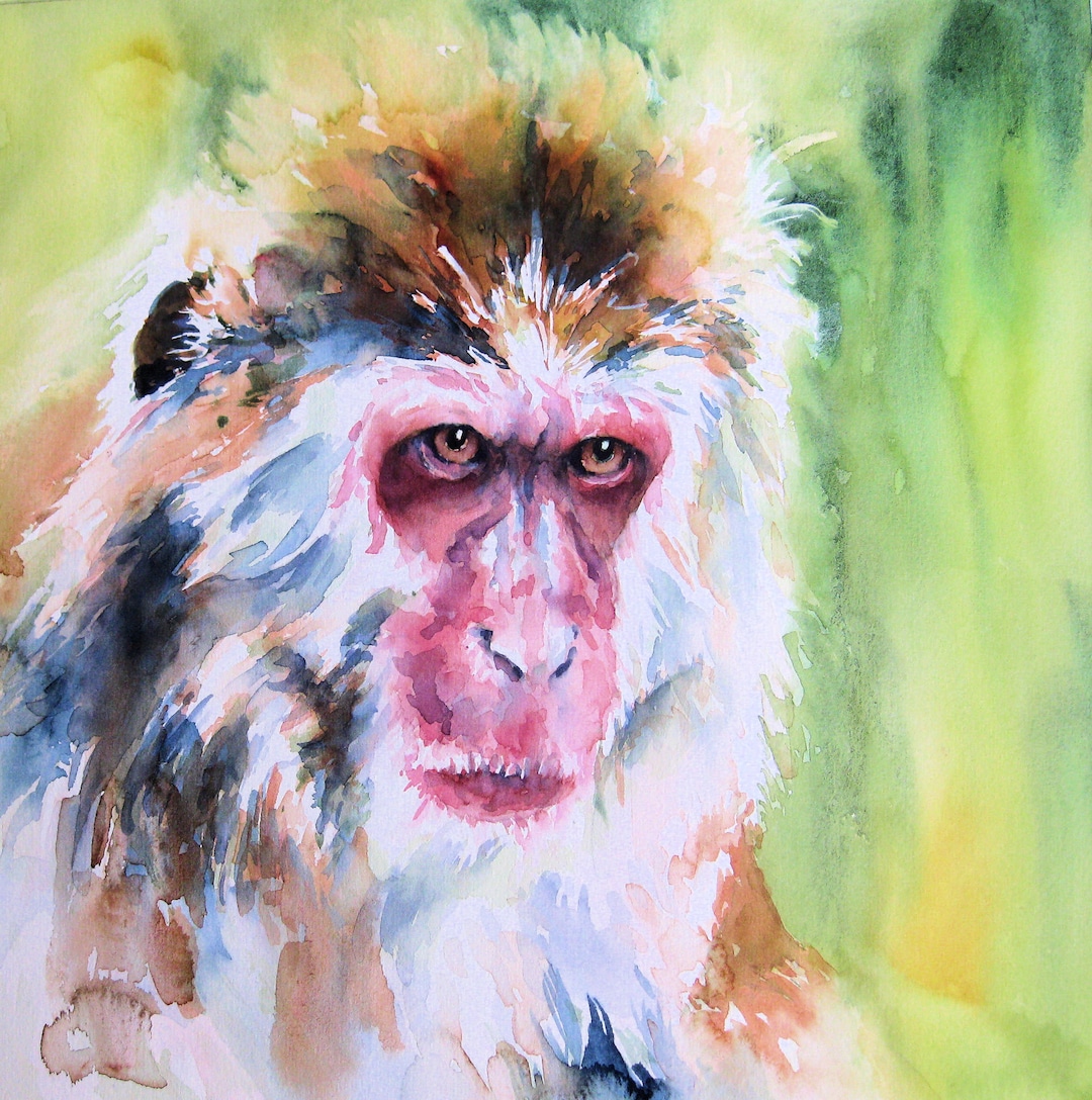 Japanese Macaque Monkey Original Watercolor Zoo Art Painting, Wildlife ...