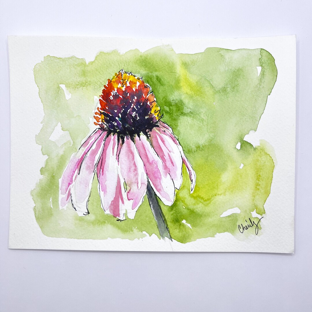 6x8 Pink Coneflower Echinacea Flower Line and Wash Original Watercolor ...