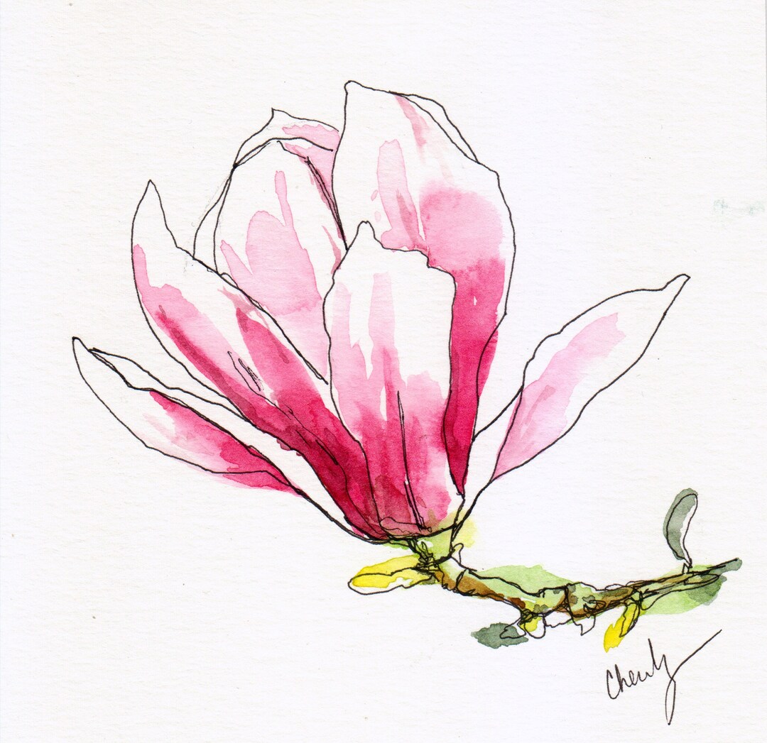Pink Magnolia Flower Line and Wash Original Ink and Watercolor Painting ...